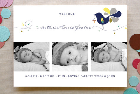 Little Bird Birth Announcements | Oore