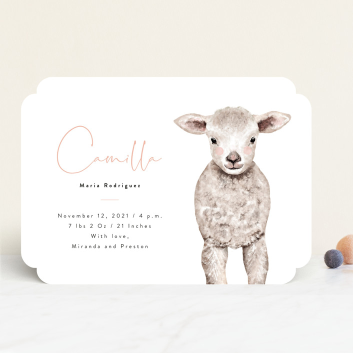 Baby Animal Sheep Birth Announcements by Cass Loh | Minted