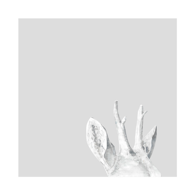 A Twig Breaks Wall Art Prints by Taylor H Wiedemann | Minted