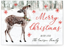 Non Photo Holiday Cards | Minted