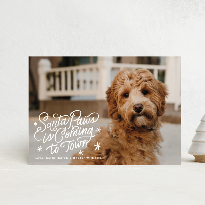 Santa Paws is Coming to Town Holiday Postcards by Becky Nimoy | Minted
