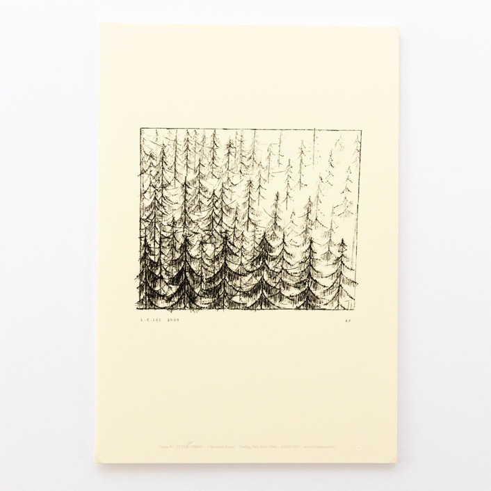 Pine Tree Forest Drawing