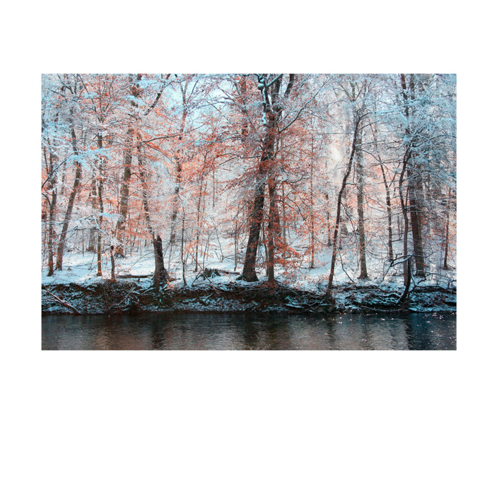 First Winter Snowfall Fine Art Prints by Erica Furjanic | Minted
