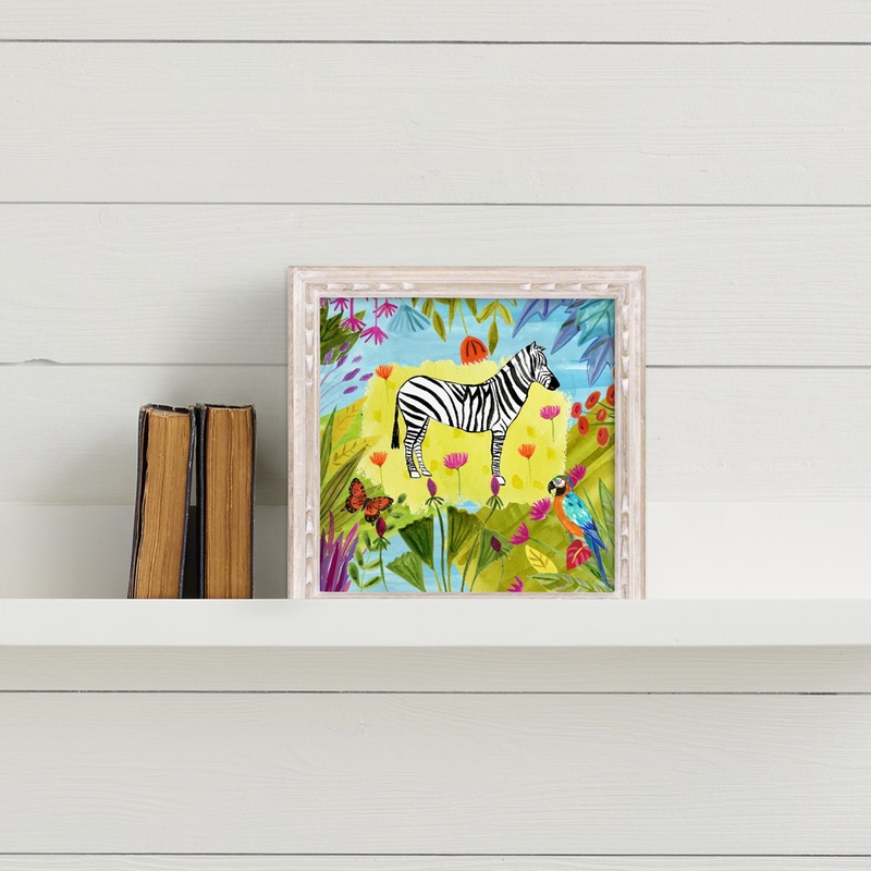 Colorful Zebra Borders And Frames