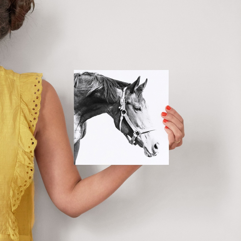 Quiet Gaze Wall Art Prints by Karen Kaul | Minted