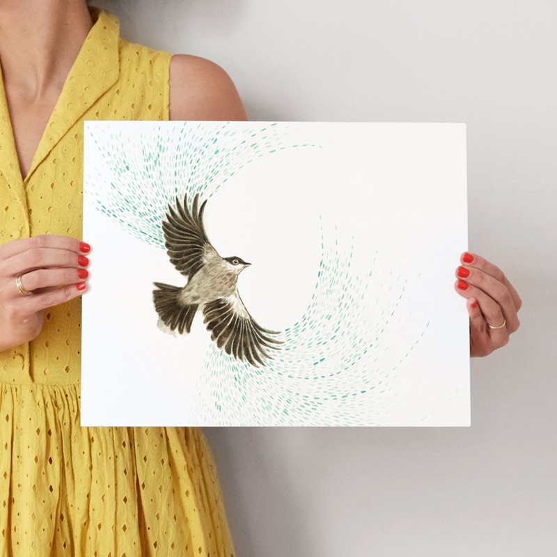 Flying Bird Drawing Color