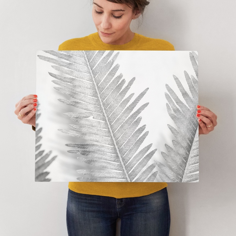 Fern Gully 1 Wall Art Prints by Laura Hamm | Minted